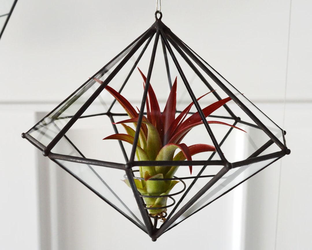 Mid Century Modern 10 Sided Air Plant Planter Made From Reclaimed ...
