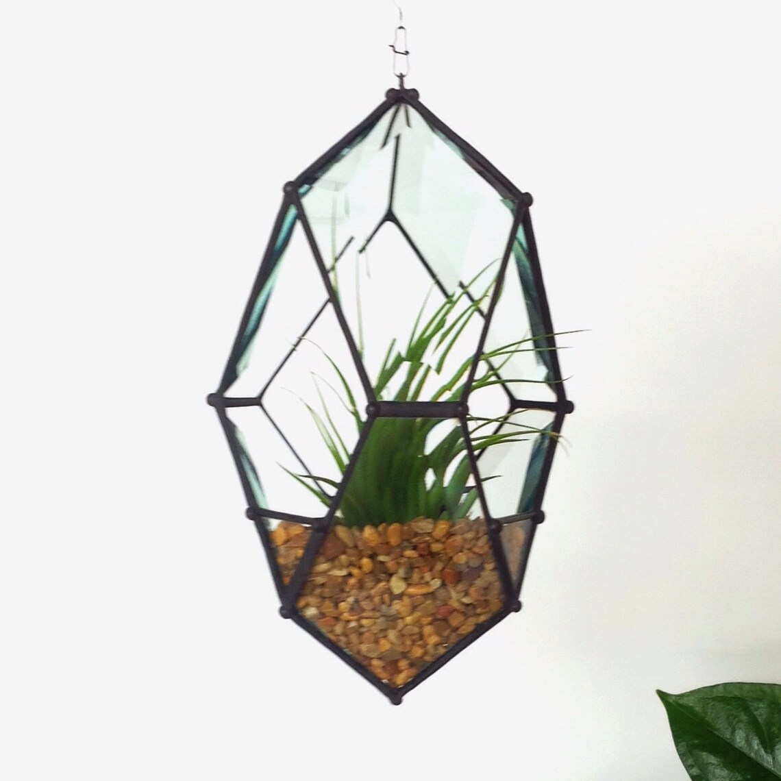 Beveled Glass Pentagon Air Plant Planter | Etsy