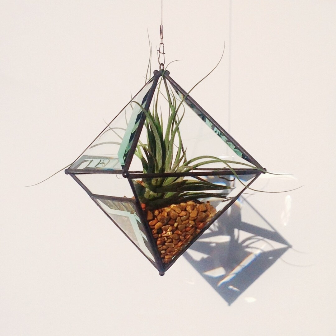 Large Pyramid Beveled Glass Orb Air Plant Planter With Bevel Accent. - Etsy