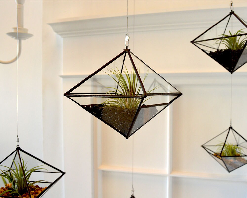 Prairie Style Inspired Pyramid Air Plant Planter Made From - Etsy
