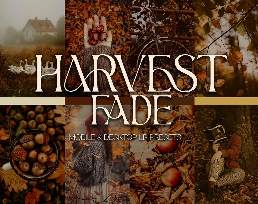 Vintage Fall Presets | Warm Film Tones | Muted Analog Look | Mobile ...