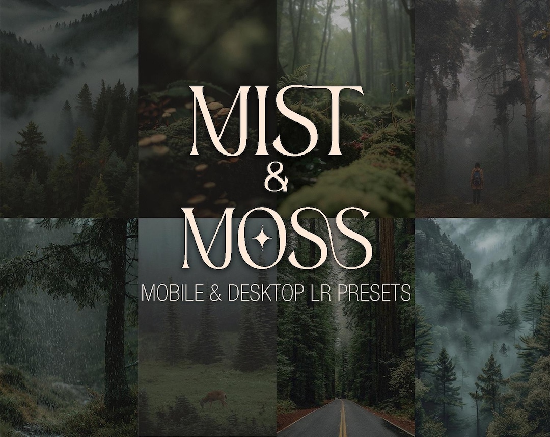 Moody Forest Lightroom Presets: Cinematic Green & Foggy Filters - Etsy