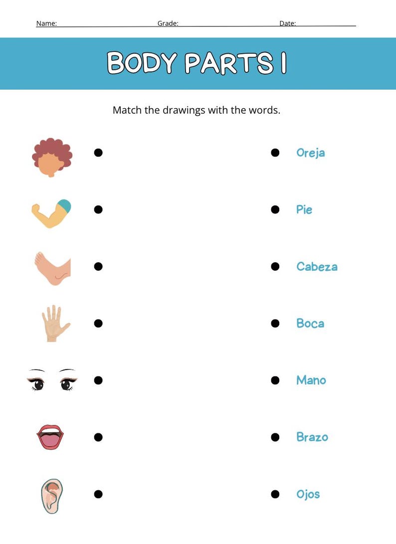 Spanish Body Parts Matching Activity – Printable PDF for Kids ...