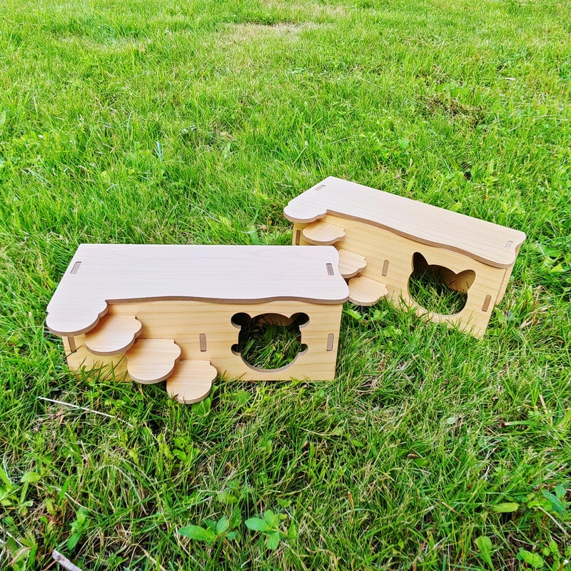 Hamsters Steps - Etsy