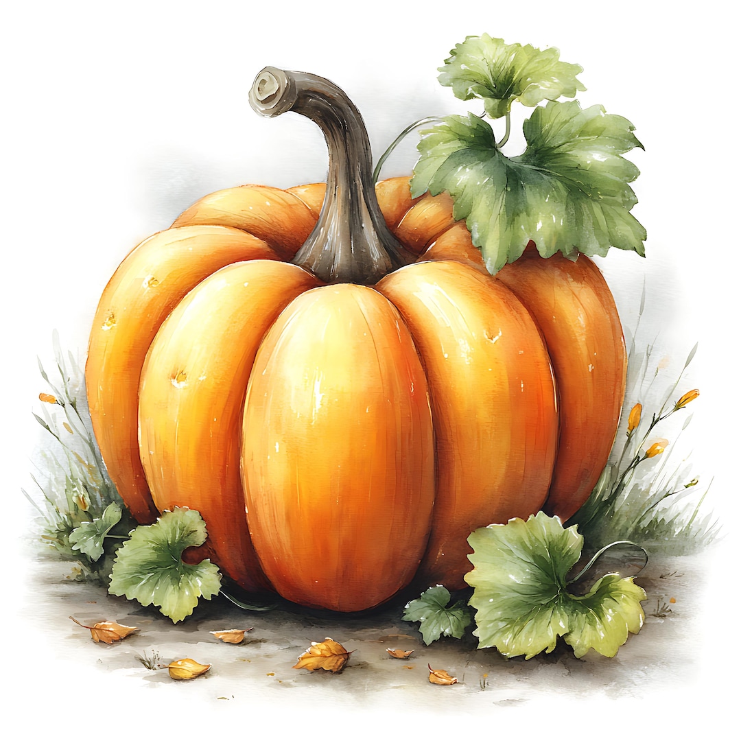 Harvest Pumpkin Clipart, Autumn Pumpkin Watercolor Illustration, Fall ...
