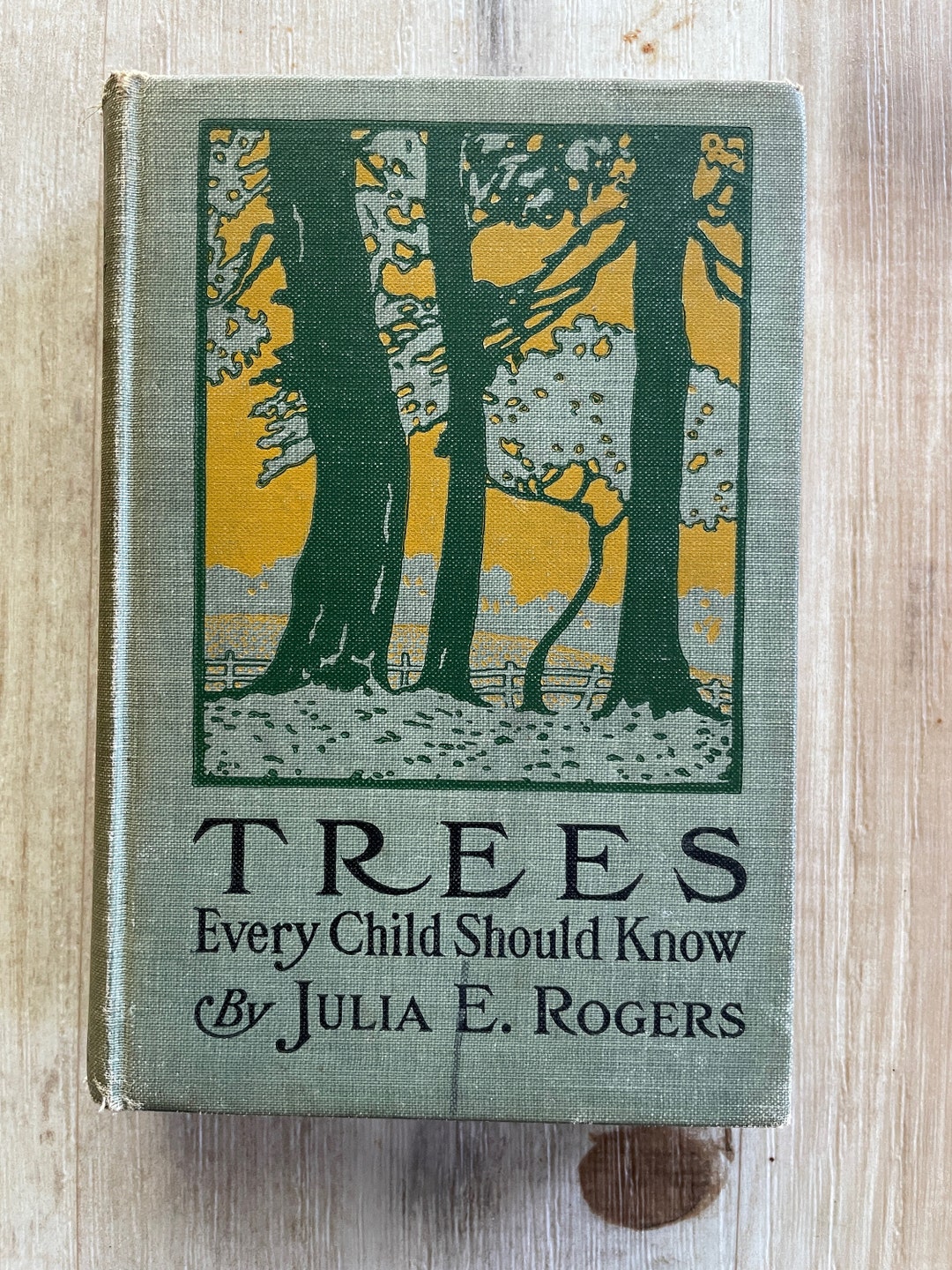 Trees Every Child Should Know Julia E. Rogers 1909 1st Edition Nature ...