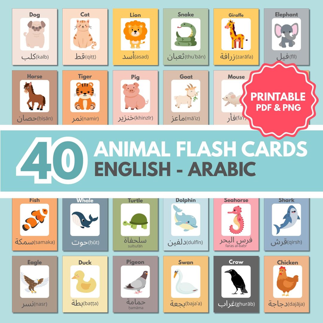 40 Bilingual Animal Flashcards – English & Arabic | Printable PDF and ...