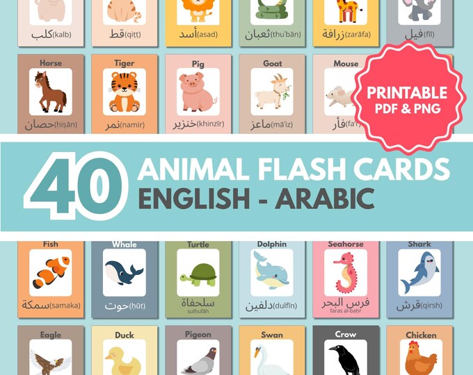 Arabic Farm Animal Flashcards English Bilingual Language Homeschooling ...