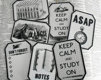 Owl flash cards types of owl study cards classroom decor | Etsy