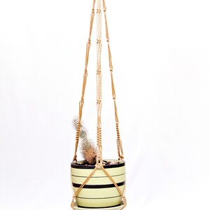 Hanging Planter / Macrame Plant Hanger / Flower Pot Holder / Indoor ...