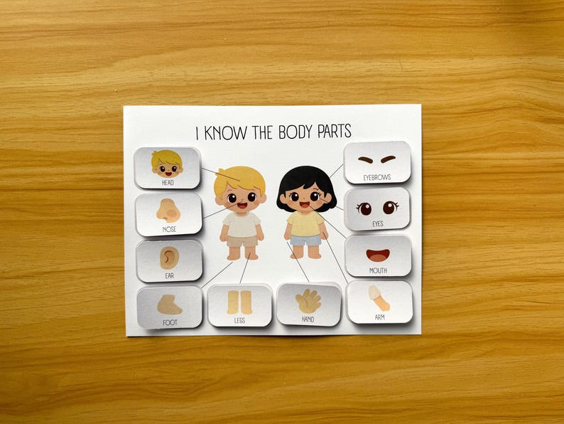 Printable Montessori Body Parts Recognition Activity for Toddlers and ...