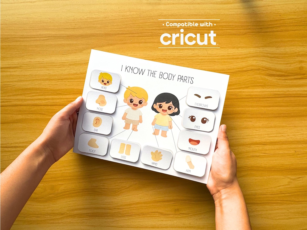 Printable Montessori Body Parts Recognition Activity for Toddlers and ...