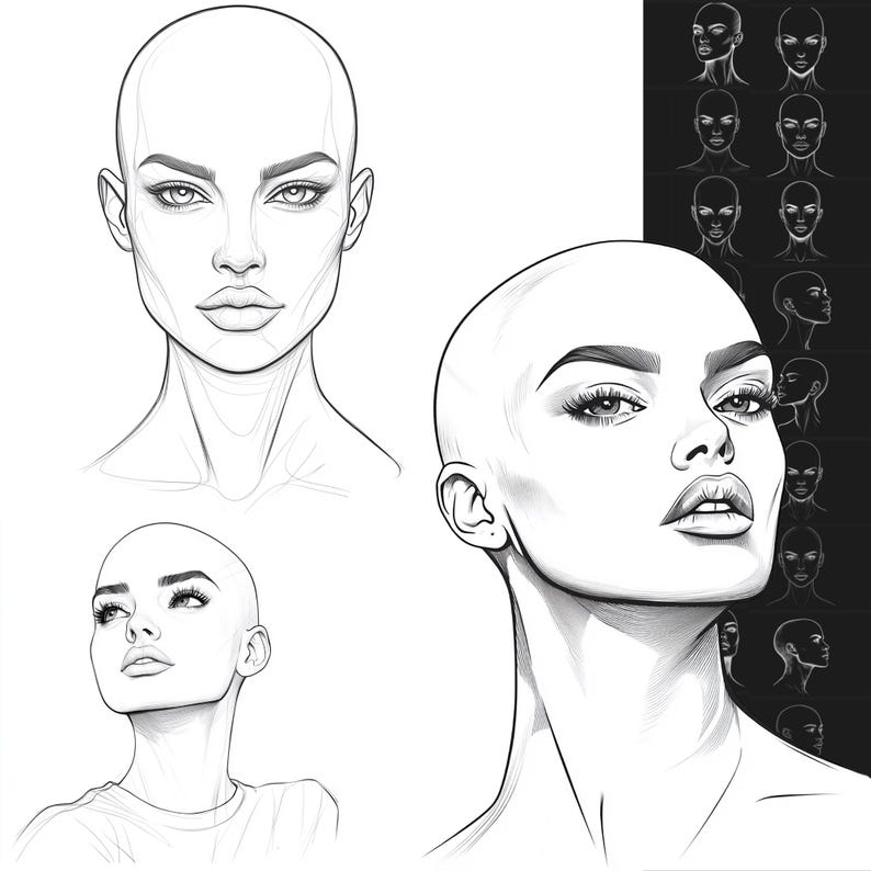 Procreate Human Brushes, 165+ Female Base Head Procreate Brushes ...