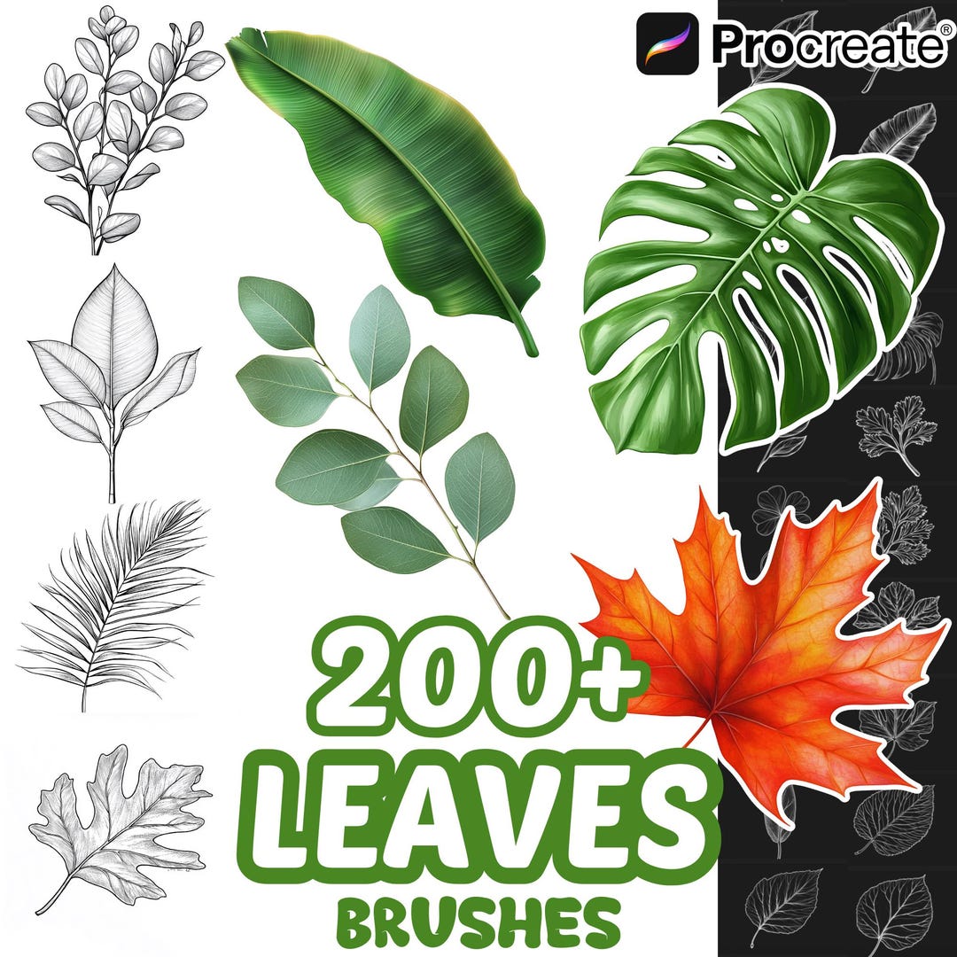 Procreate Leaves Brushes, 200+ Leaves Procreate Brushes, Nature ...