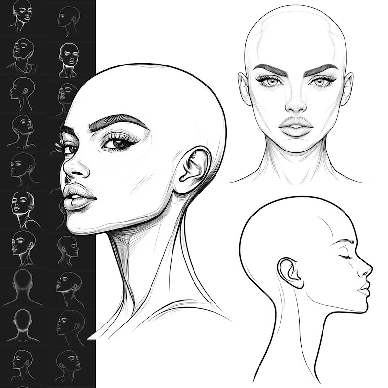 Procreate Human Brushes, 165+ Female Base Head Procreate Brushes ...