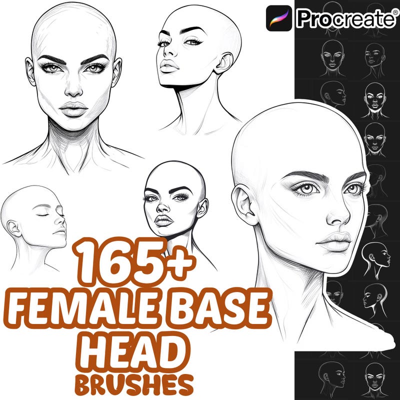 Female Body Base - Etsy