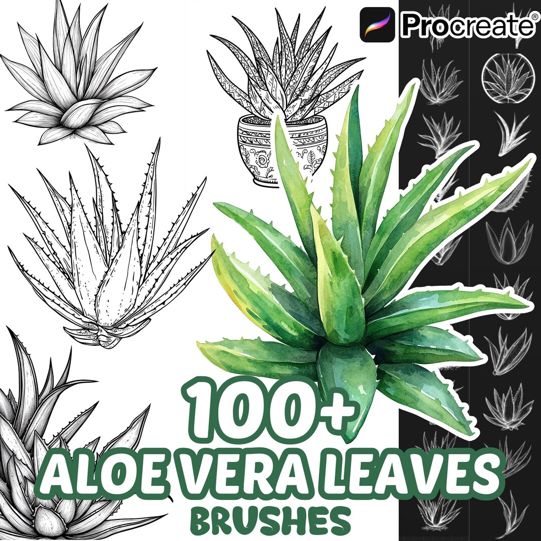 Procreate Leaves Brushes, 100+ Aloe Vera Leaves Procreate Stamps ...