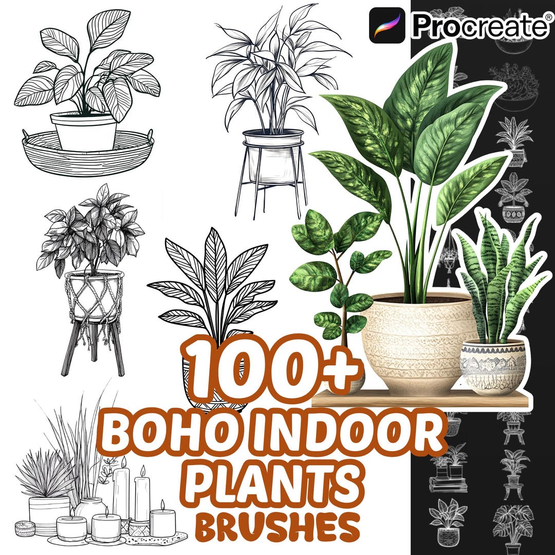 Procreate Boho Indoor Plants Brushes, 100+ Boho Indoor Plants Procreate ...