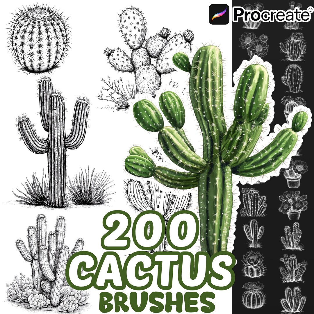 Procreate Cactus Brushes, 200 Cactus Procreate Brushes, Nature ...