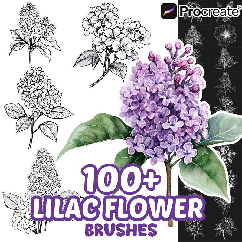 Lilac Botanical Art - Etsy