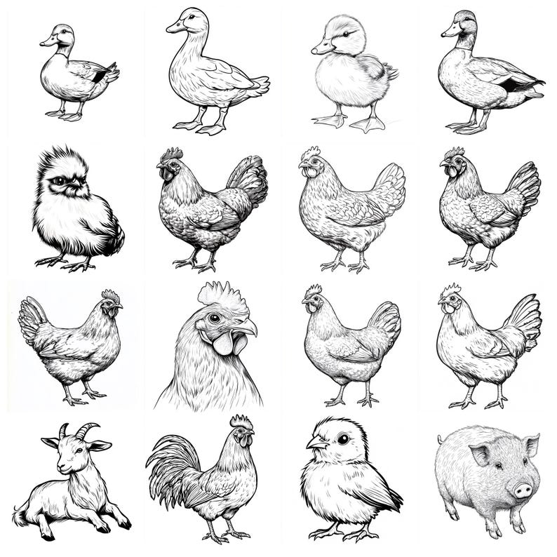 Procreate Farm Animals Brushes, 250 Realistic Farm Animals Procreate ...