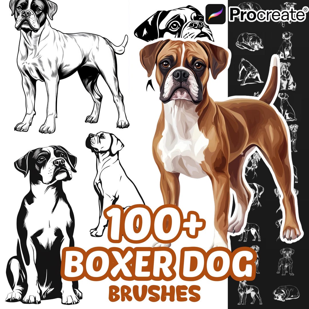 Procreate Boxer Dogs Animals Brushes, 100+ Boxer Dog Animal Procreate ...