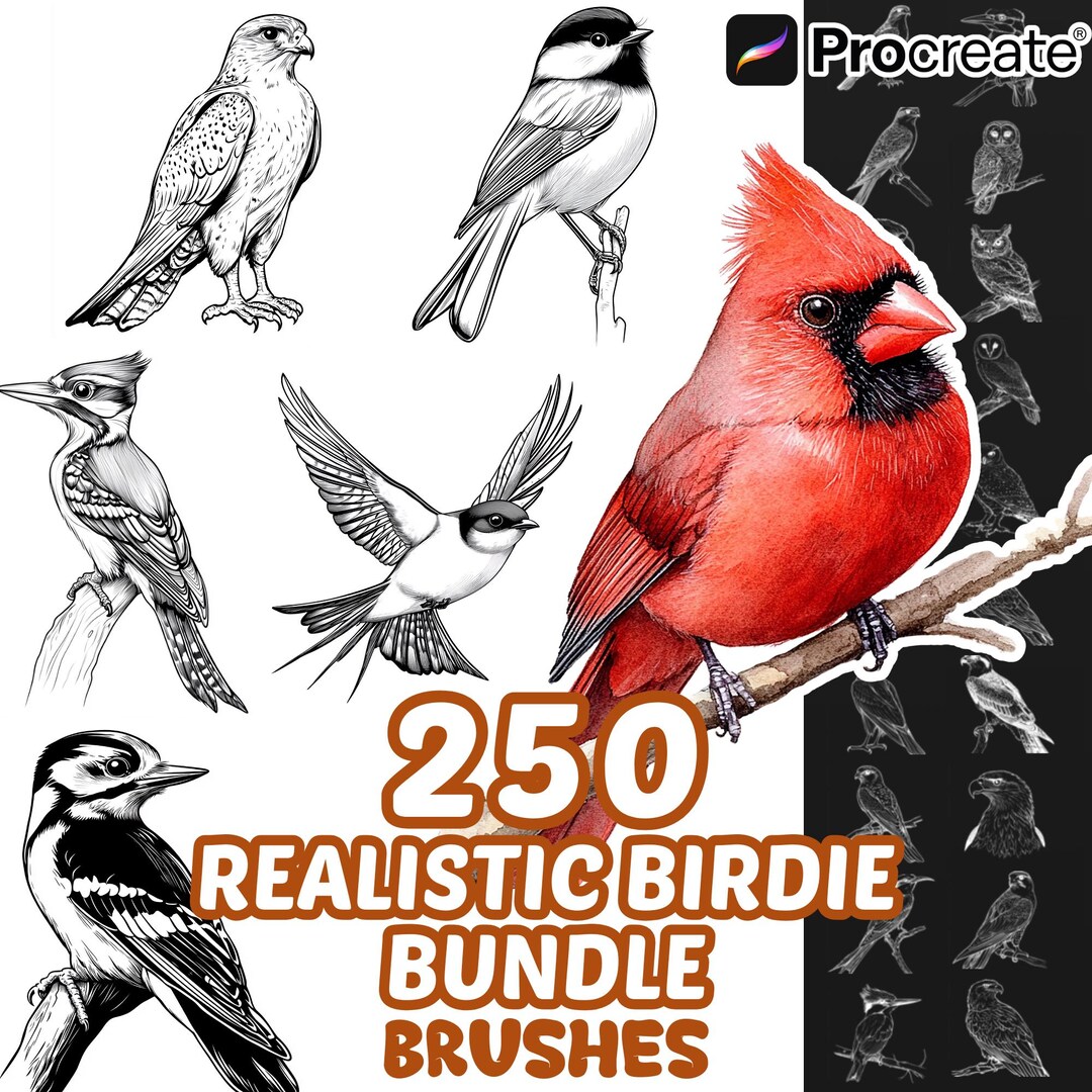 Procreate Birds Animals Brushes, 250 Realistic Birds Animals Procreate ...