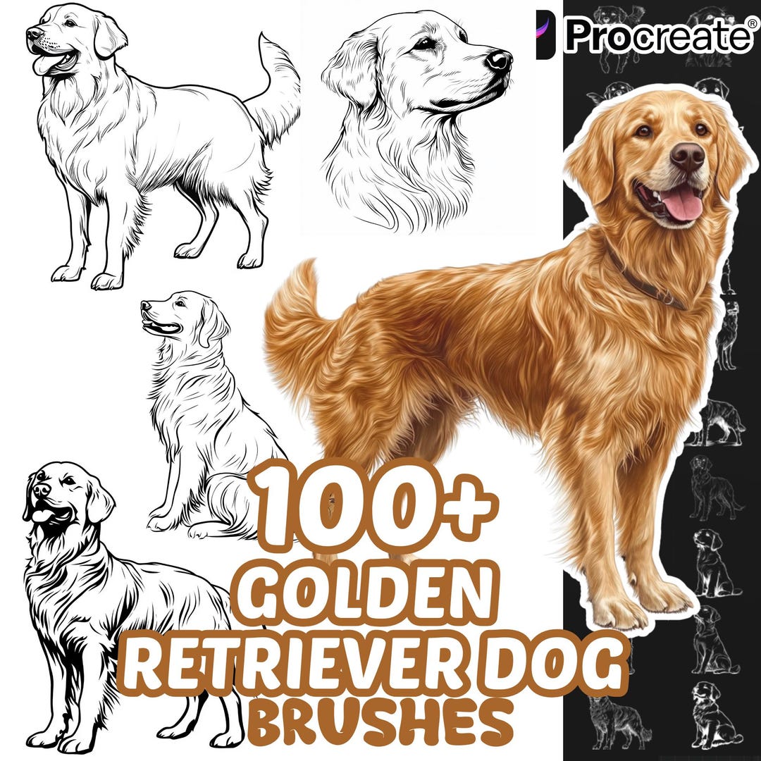 Procreate Golden Retriever Dogs Animals Brushes, 100+ Golden Retriever ...