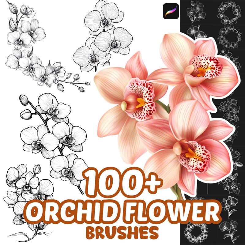 Procreate Orchid Stamps - Etsy