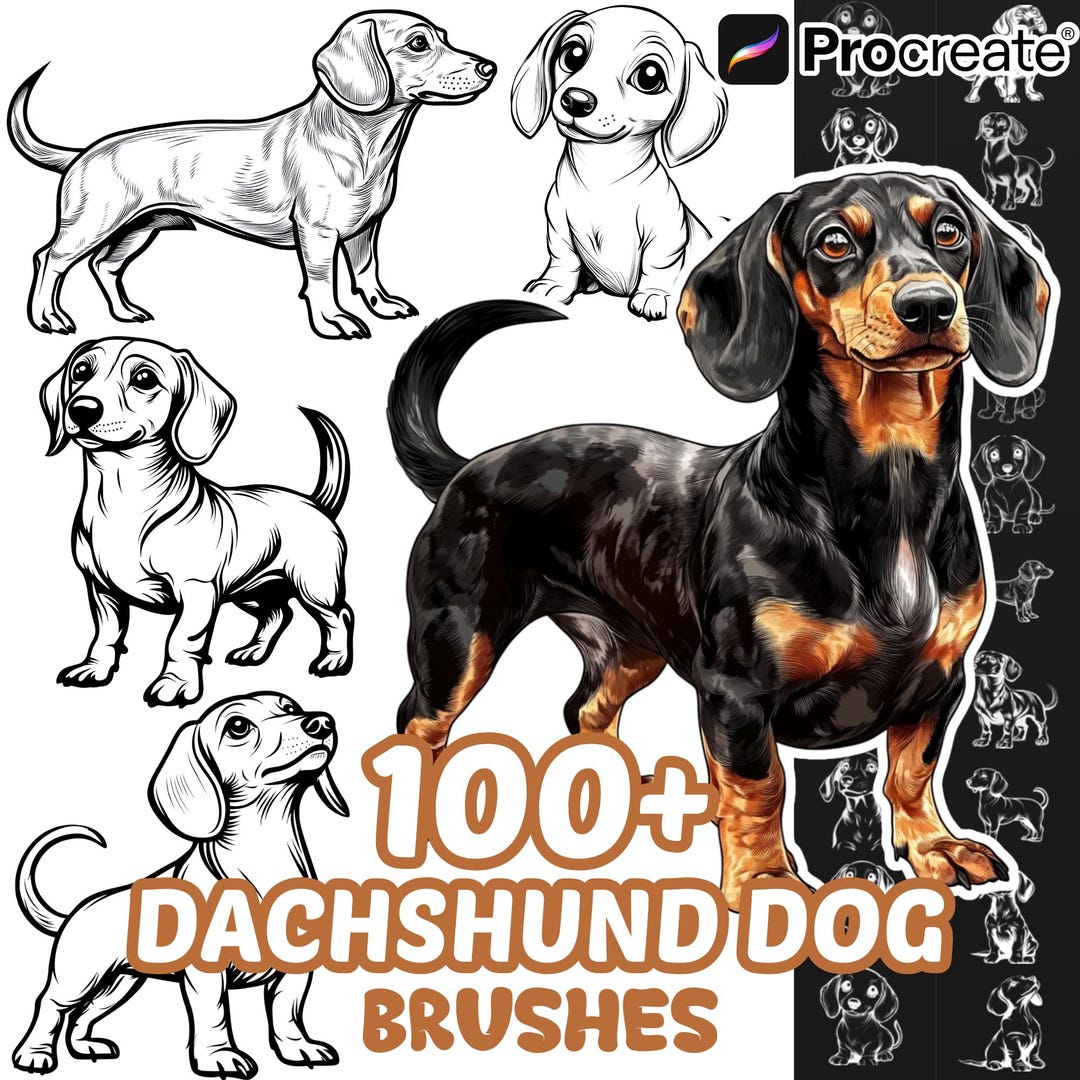 Procreate Dachshund Dogs Animals Brushes, 100+ Dachshund Dog Animal ...