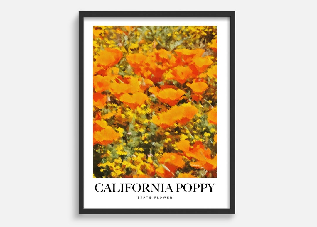 California Poppy Flower Poster, Oil Painting, Flower Market Print ...