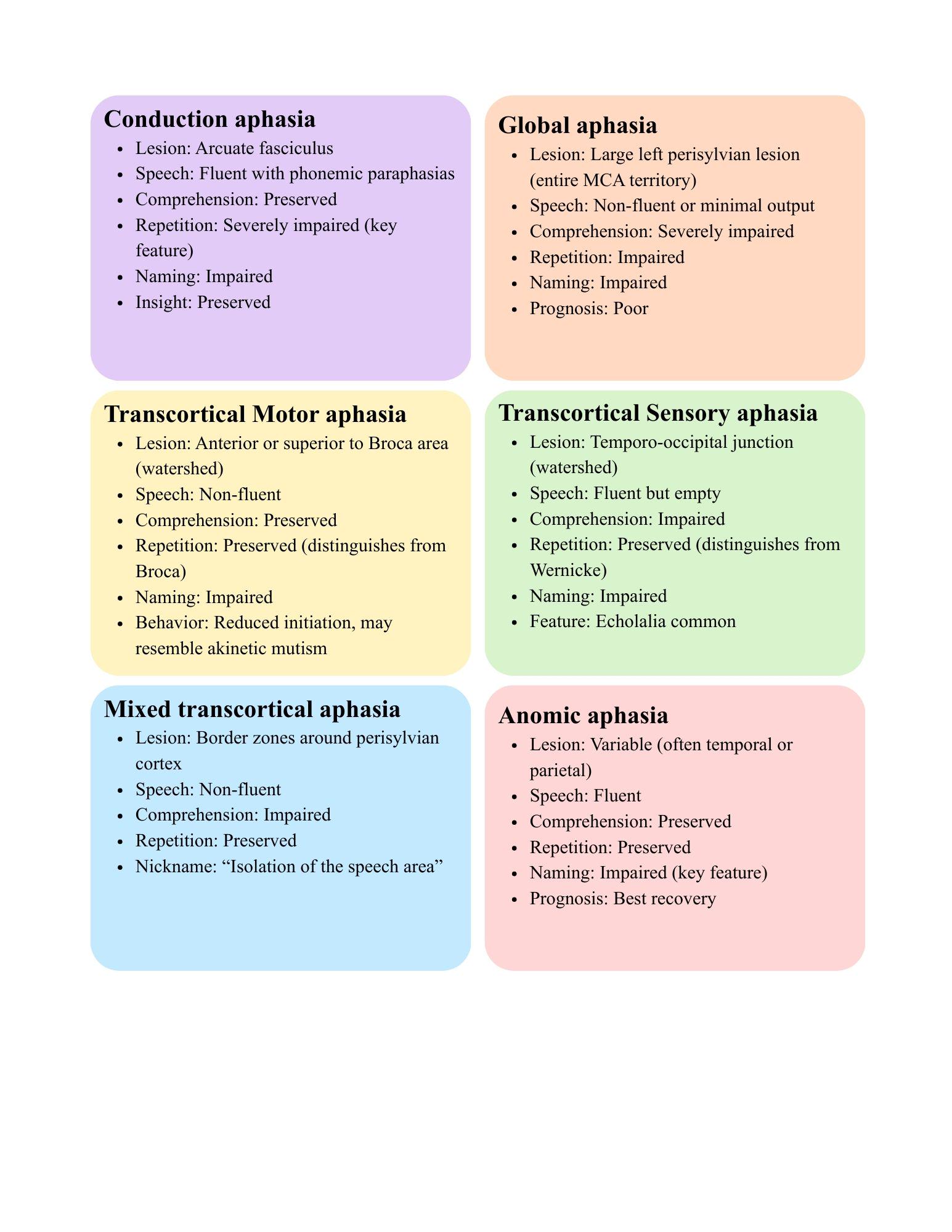 Aphasia Types Cheat Sheet PDF | Broca, Wernicke, Global | SLP Study ...