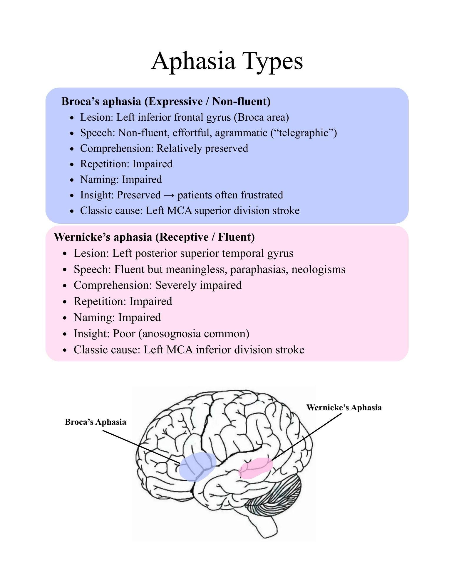 Aphasia Types Cheat Sheet PDF | Broca, Wernicke, Global | SLP Study ...