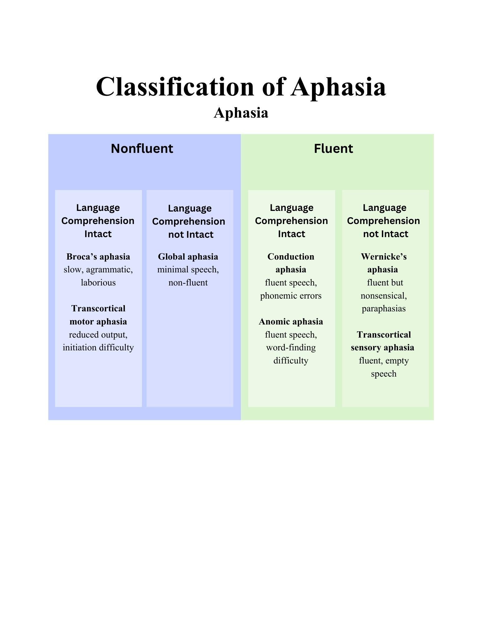 Aphasia Types Cheat Sheet PDF | Broca, Wernicke, Global | SLP Study ...
