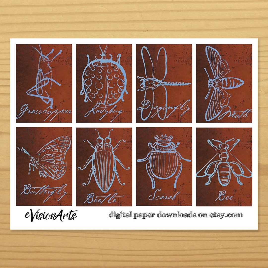 Printable INSECT GIFT TAGS - Beetles, Grasshopper, Dragonfly, Digital ...