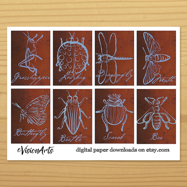Printable INSECT GIFT TAGS - Beetles, Grasshopper, Dragonfly, Digital ...