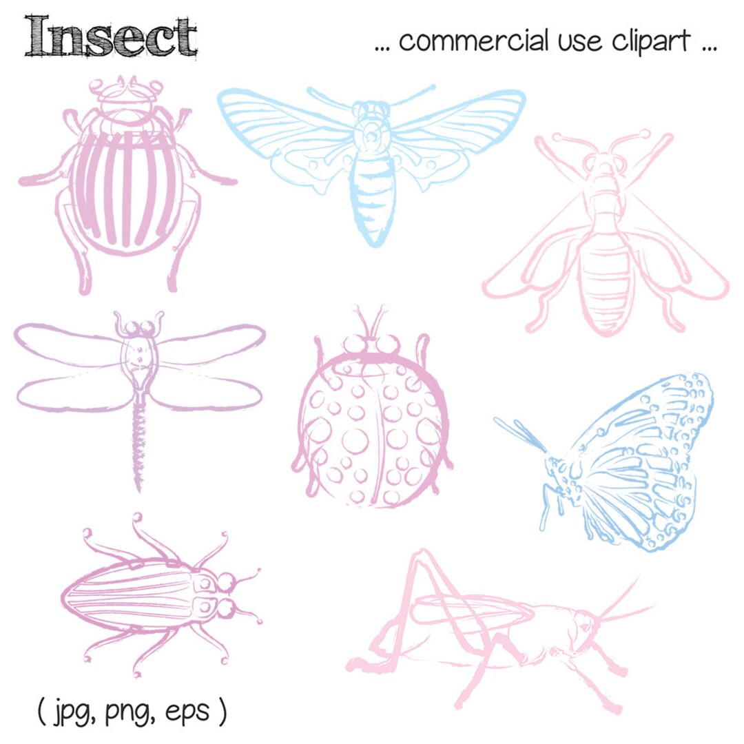 Printable Pastel INSECT CLIP ART - Line Art, Color, Digital Download ...
