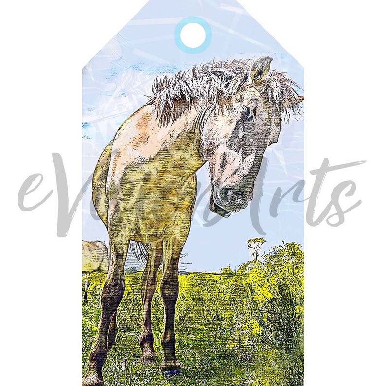 Printable HORSE GIFT TAGS Watercolor, Digital Download, Evisionarts - Etsy