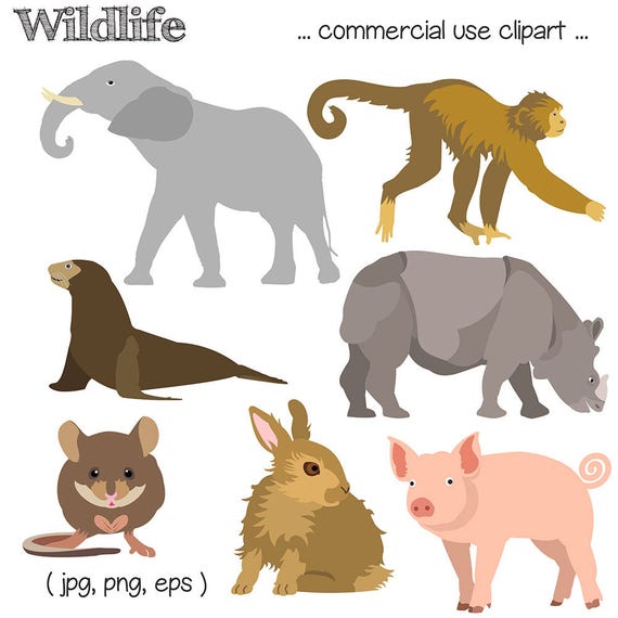 Printable ANIMAL CLIP ART Elephant Monkey Seal Rhino | Etsy