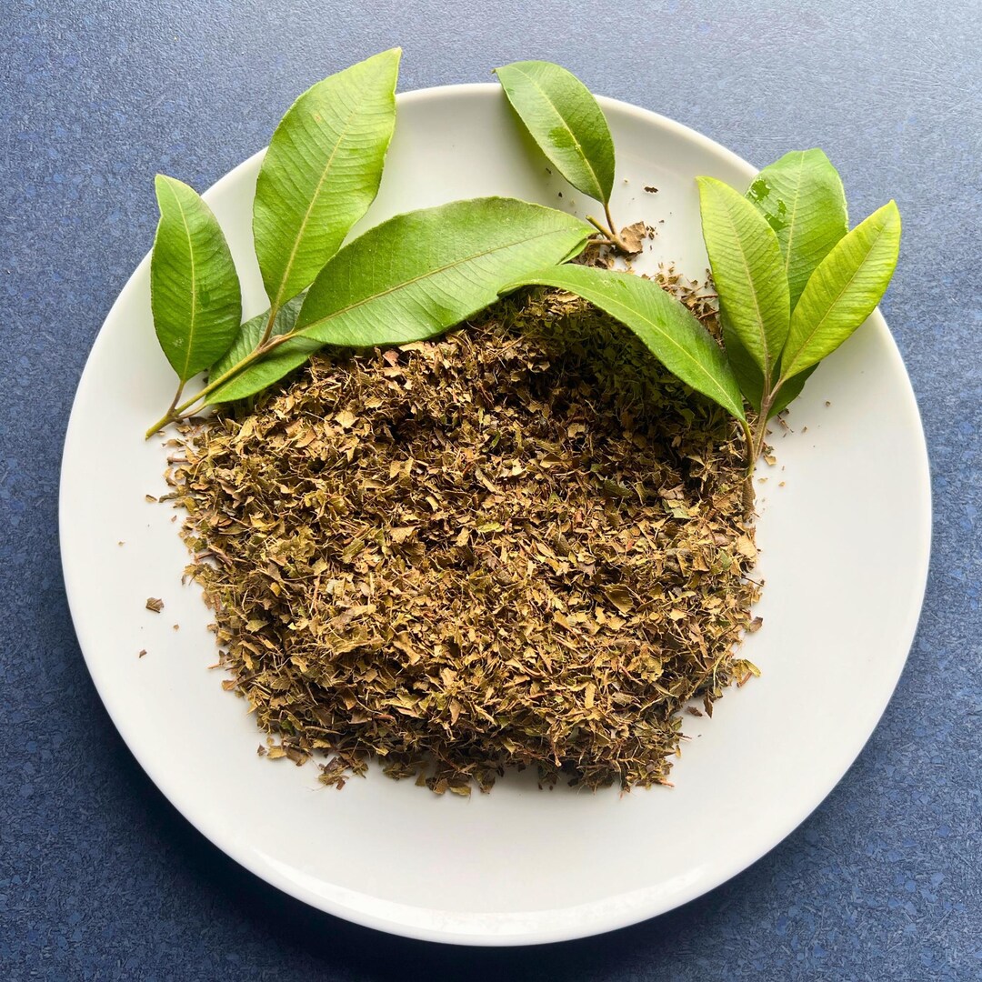 250g Australian Native Lemon Myrtle - Bulk - Etsy Australia
