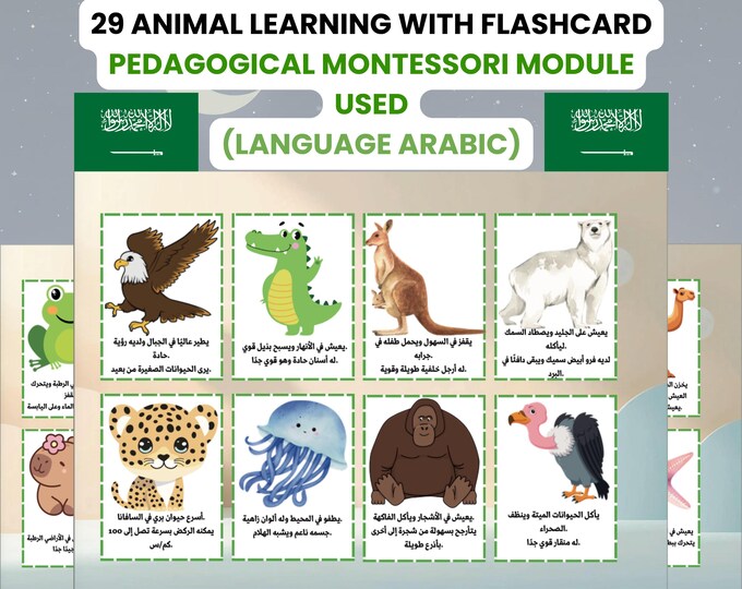 Months of the Year ARABIC Flash Cards, 12 Bilingual Cards, Montessori ...