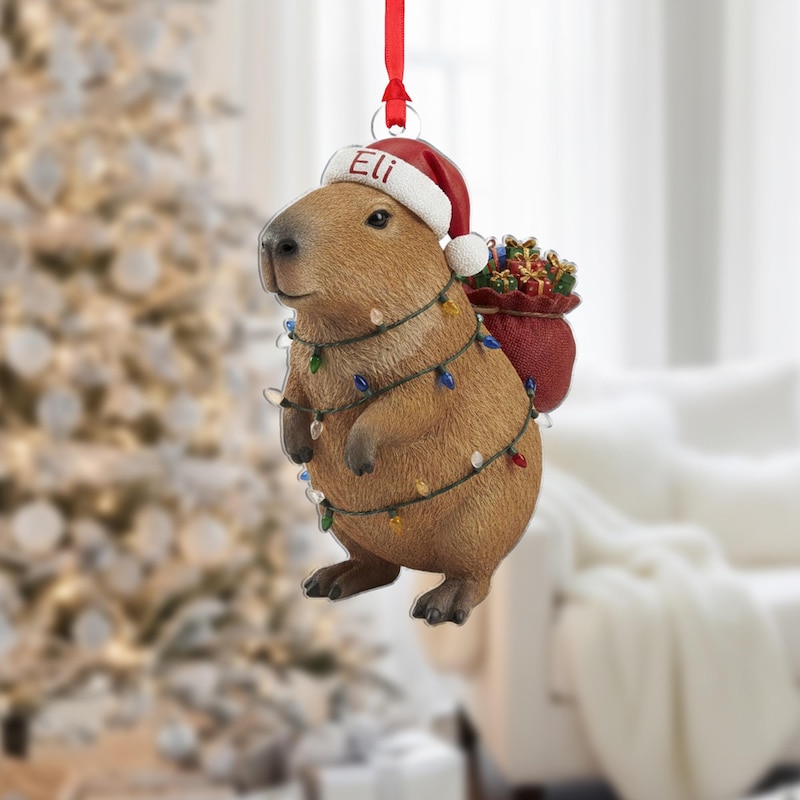 2 Kids 2 Pets Ornament - Etsy