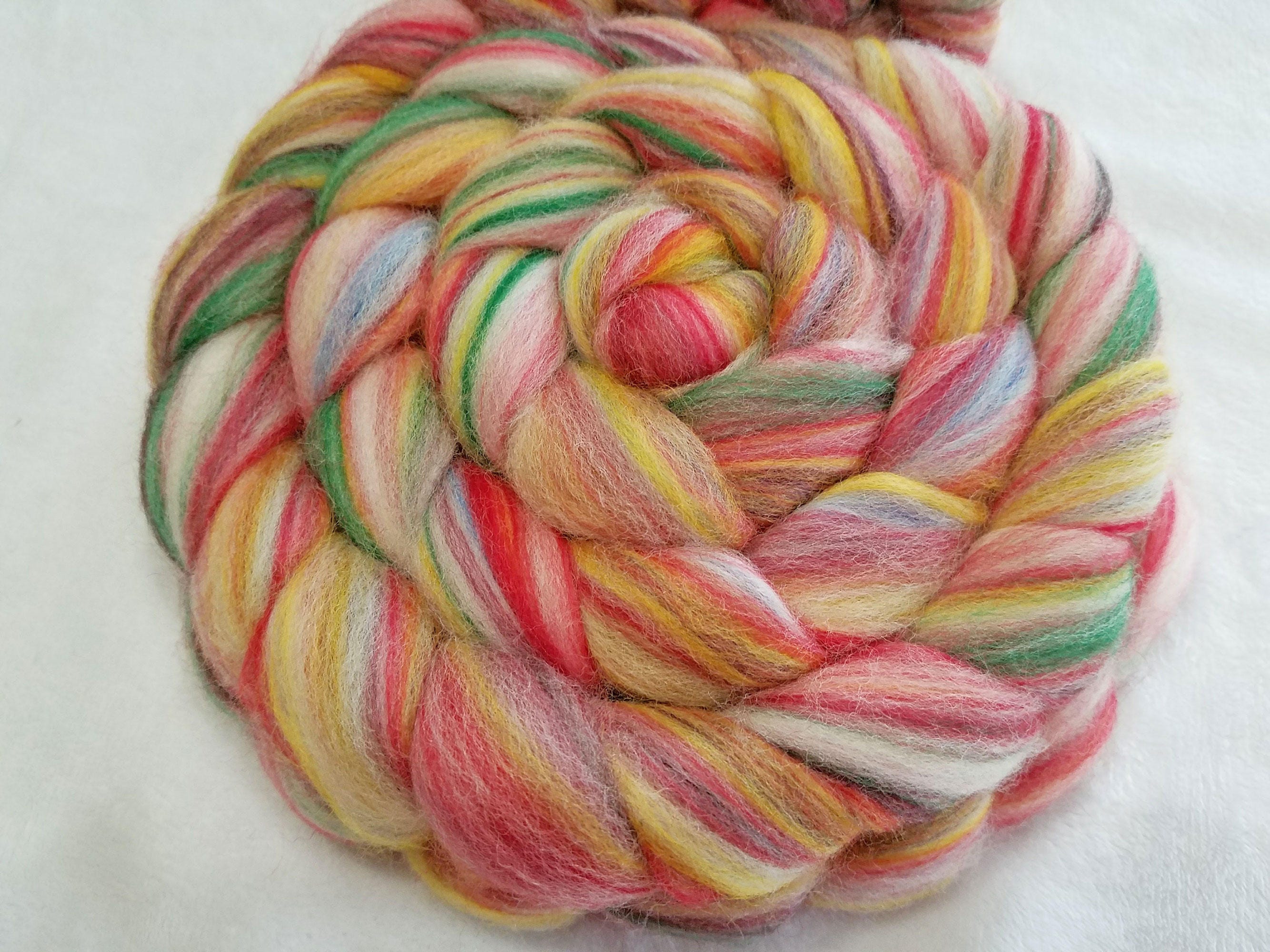 Multi-colored Merino Combed Top 4 Oz Holly Berry 21.5 | Etsy