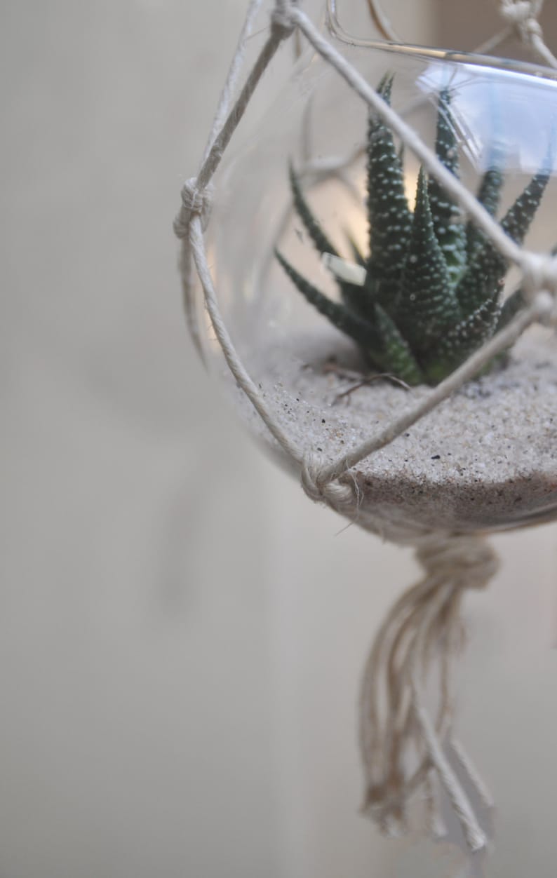 Macrame Plant Hanger, Hanging Planter, Hanging Plant Holder, Hanging ...