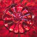 Pond Floats. Red Blown Glass. Available in 3 Inches, 4 Inches, 5 Inches ...