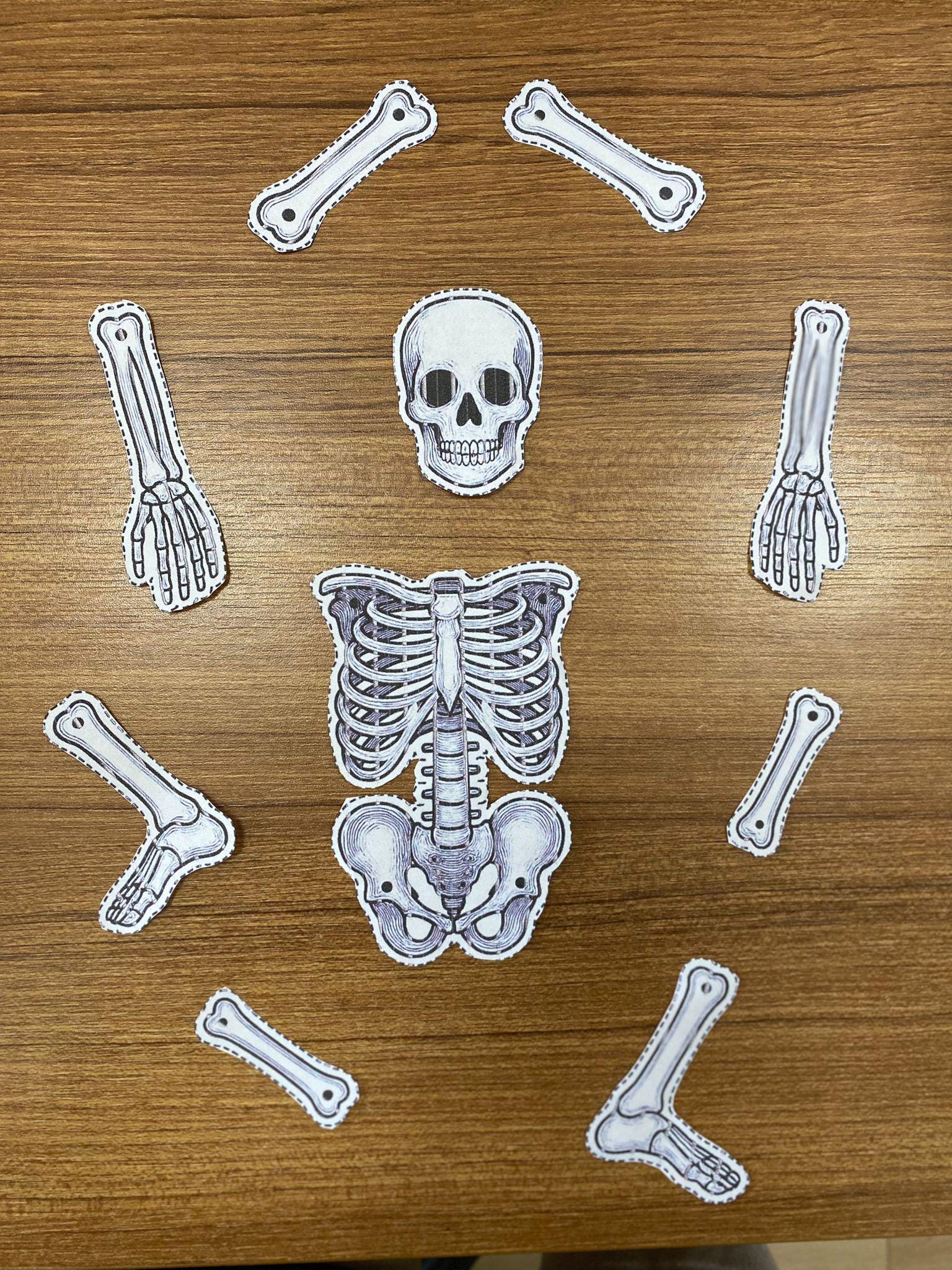 Halloween- Printable Skeleton Puppet for Elementary- Middle School ...