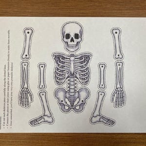 Halloween- Printable Skeleton Puppet for Elementary- Middle School ...