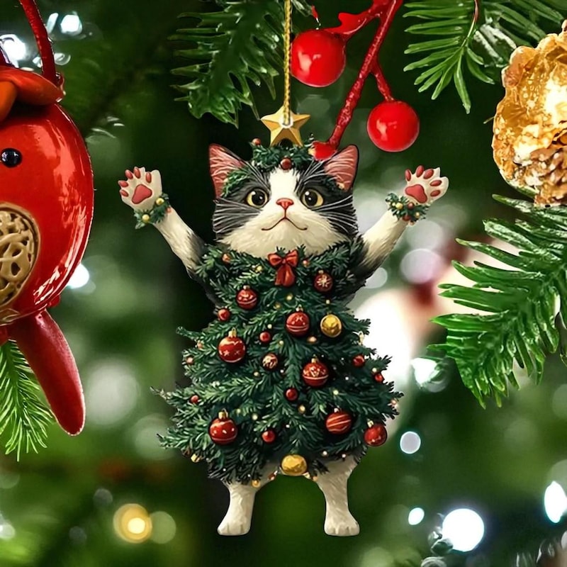 Christmas 2d Cat Acrylic - Etsy