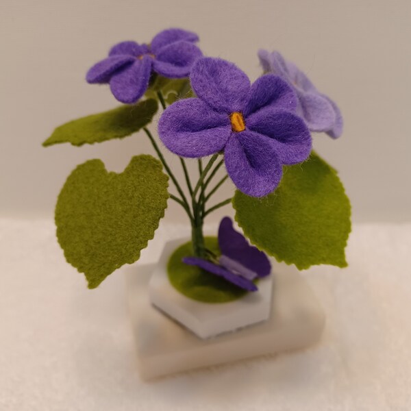 Mini African Violets Etsy