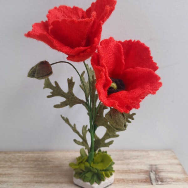 Poppy Arrangement - Etsy